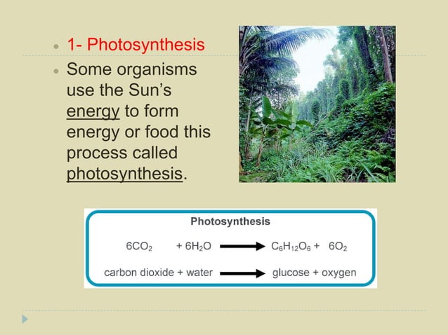 photosynthesis and chemosynthesis | PPTX