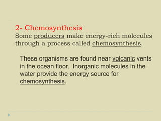 photosynthesis and chemosynthesis | PPTX
