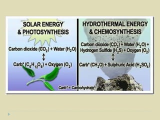 Chemosynthesis Formula
