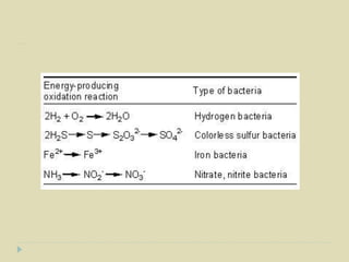 photosynthesis and chemosynthesis | PPTX