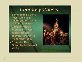 photosynthesis and chemosynthesis | PPTX