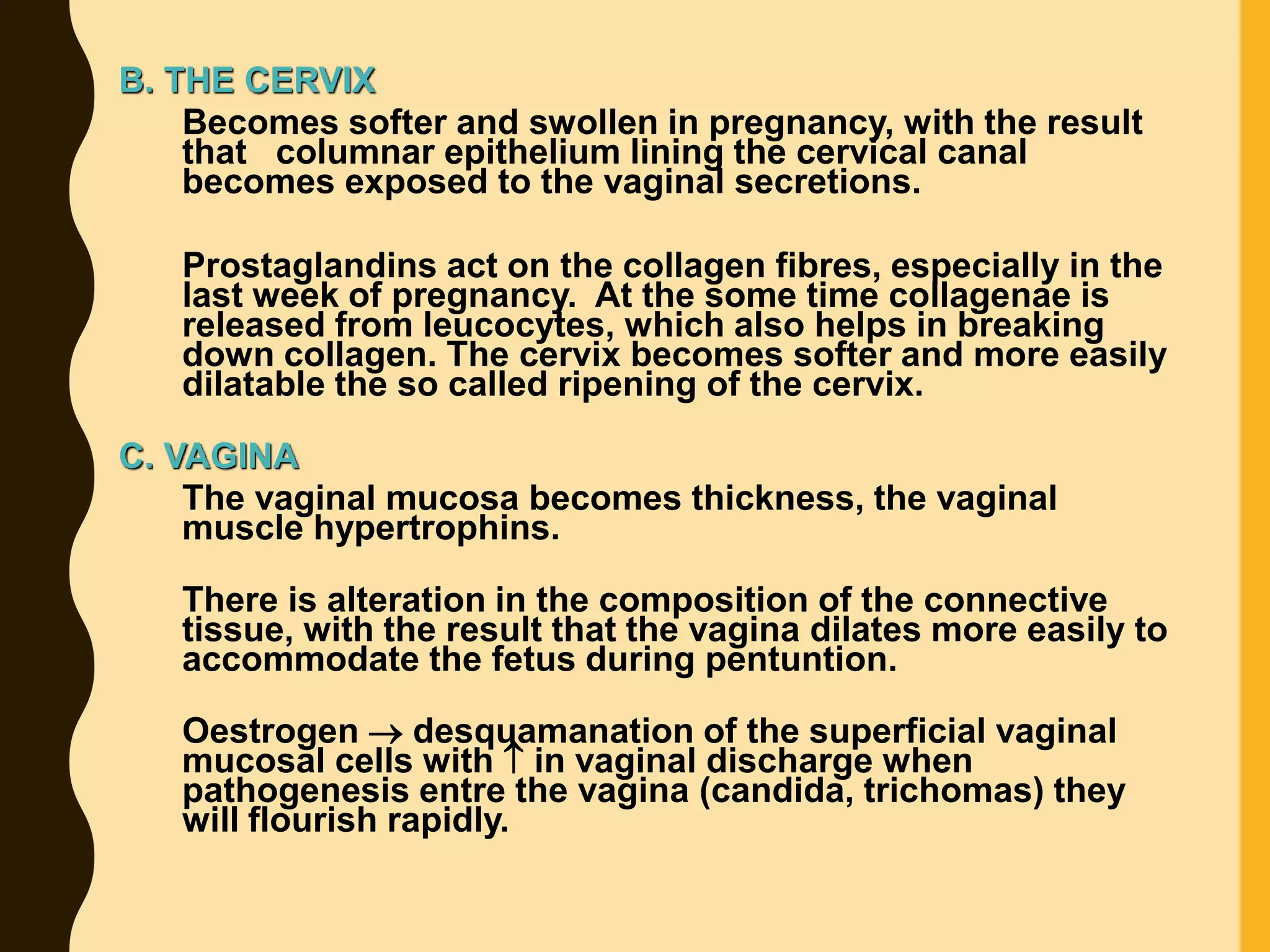 4-Physiological Changes in Pregnancy.ppt