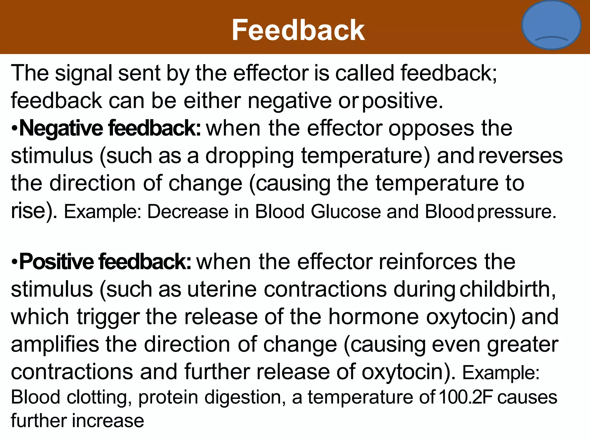 Physiology of Homeostasis | PPTX