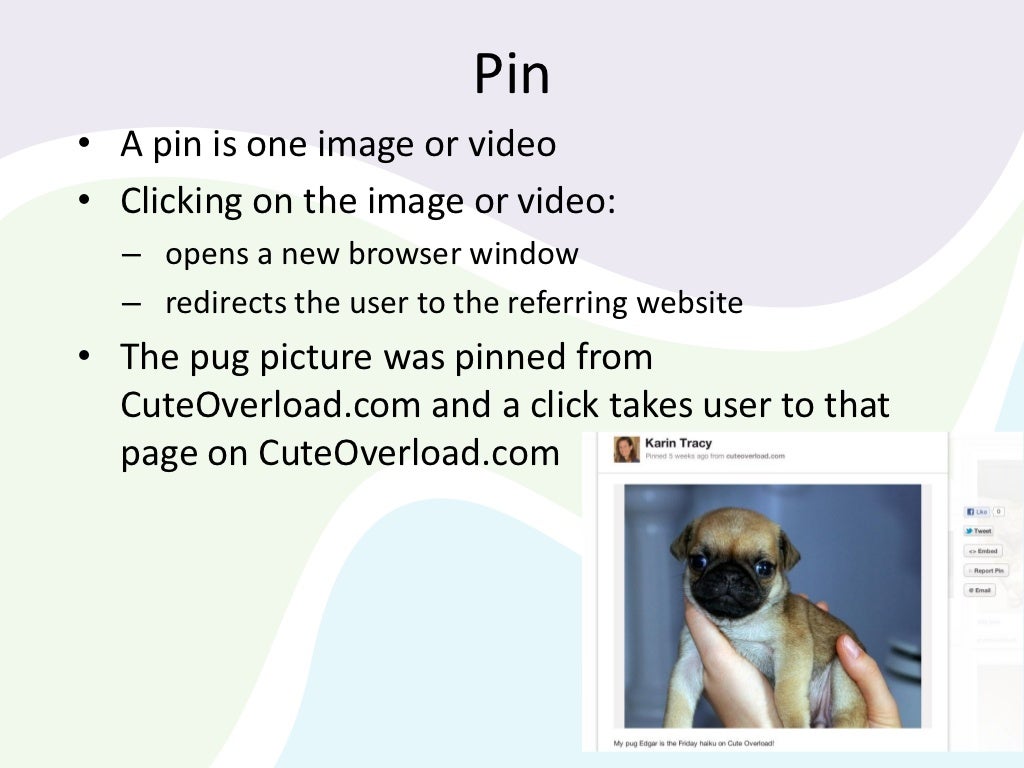 Pinned Meaning