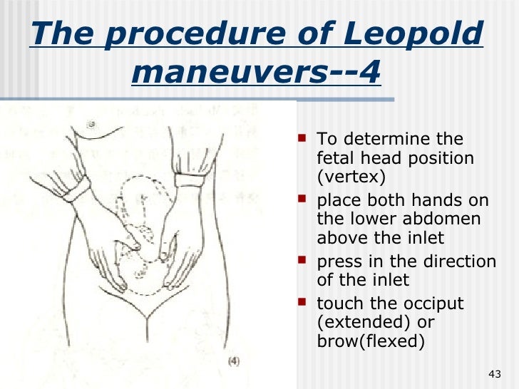 4.Prenatal Care 2009