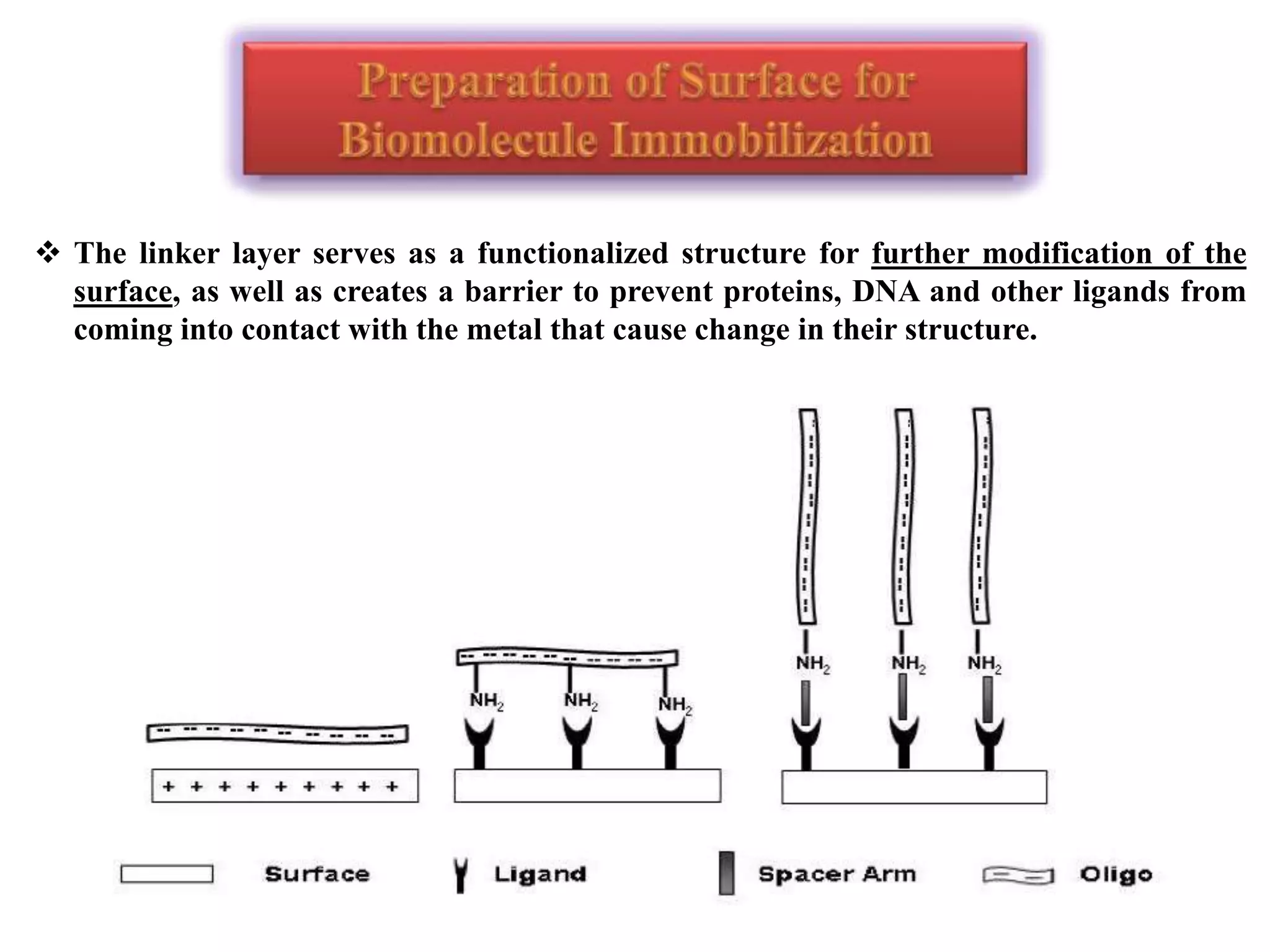 preparation of surface for biomolecule immobilization lecture 4 | PPT