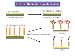 preparation of surface for biomolecule immobilization lecture 4 | PPTX