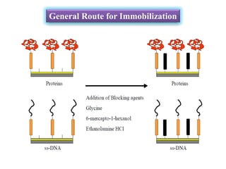 preparation of surface for biomolecule immobilization lecture 4 | PPTX