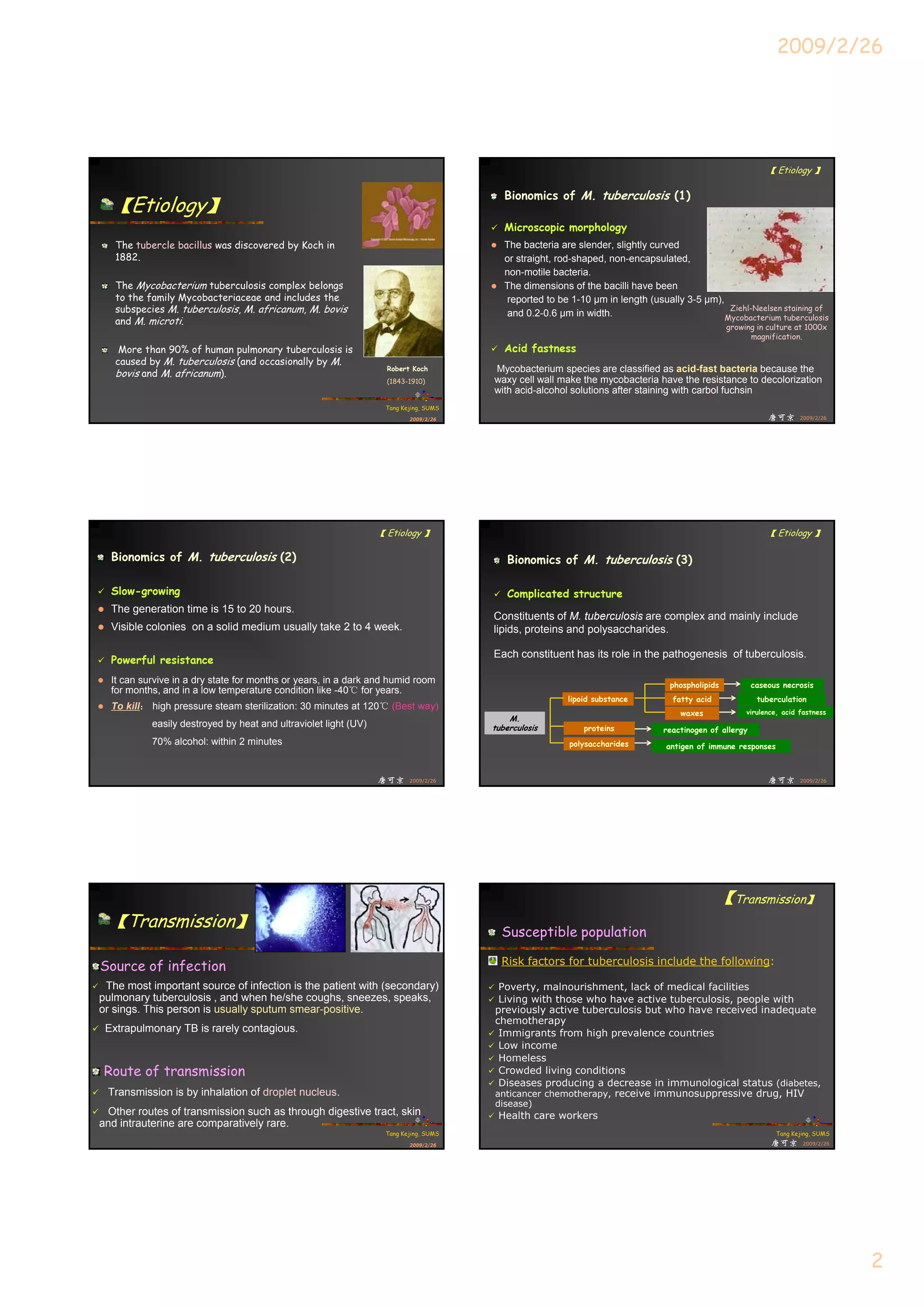 4.Pulmonary Tuberculosis | PDF