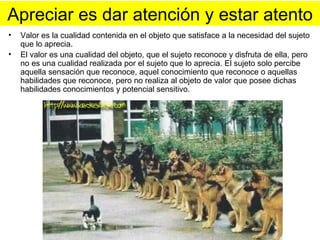 Que Es Apreciar | PPT