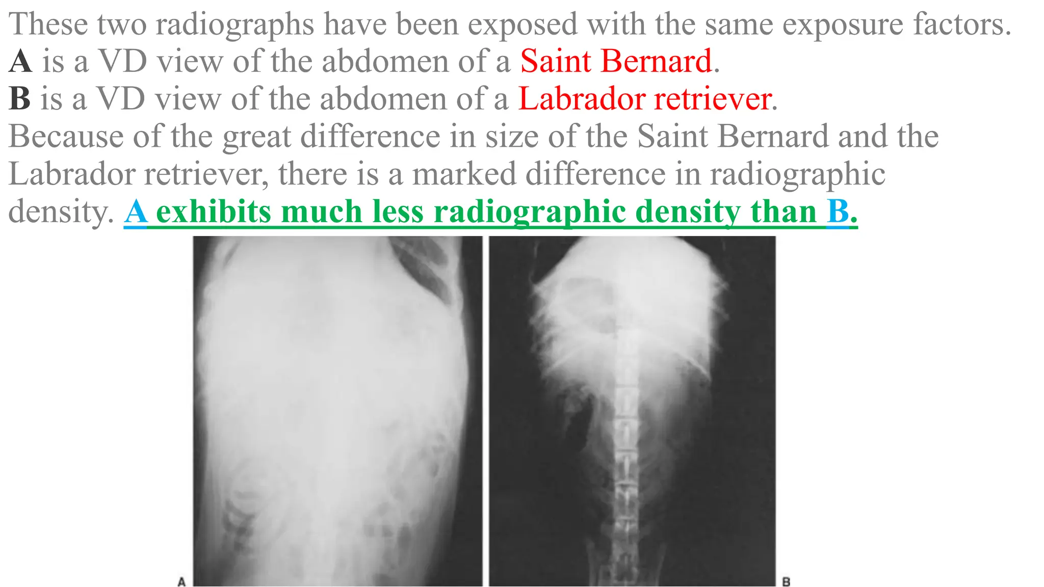 Radiographic Quality, Density, Contrast, Detail, Radiographic ...