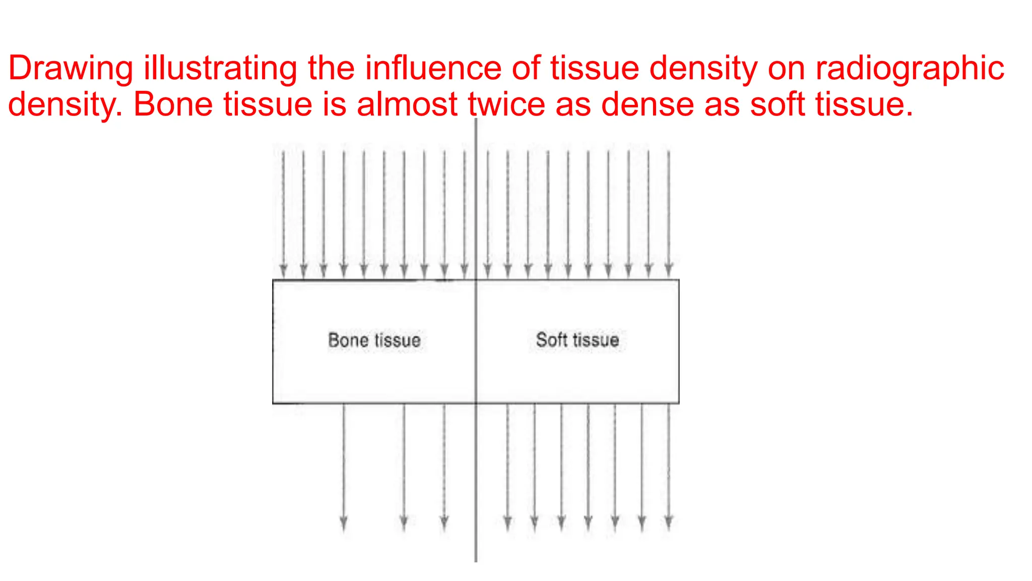 Radiographic Quality, Density, Contrast, Detail, Radiographic ...