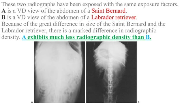 Radiographic Quality, Density, Contrast, Detail, Radiographic ...