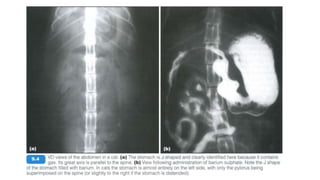 Radiographic Quality, Density, Contrast, Detail, Radiographic ...