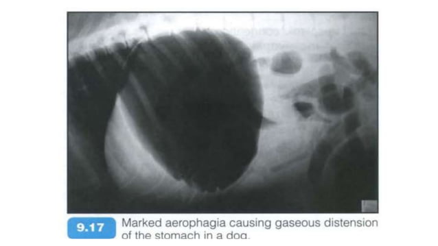 Radiographic Quality, Density, Contrast, Detail, Radiographic ...