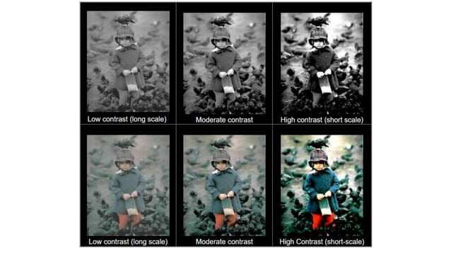 Radiographic Quality, Density, Contrast, Detail, Radiographic ...