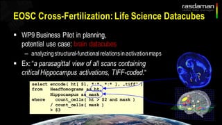 Rasdaman use case | PPT