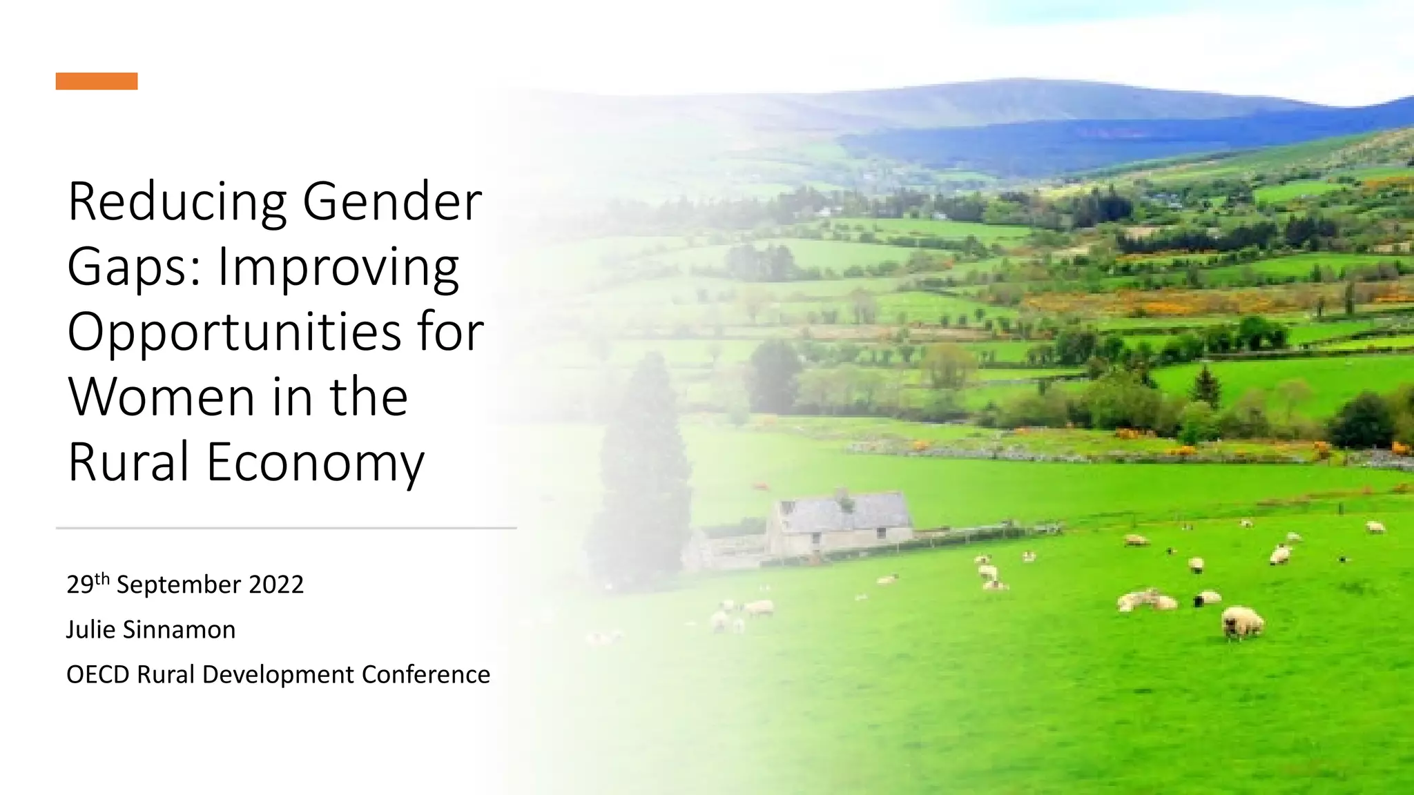 4 - Reducing Gender Gaps-Julie Sinnamon.pdf