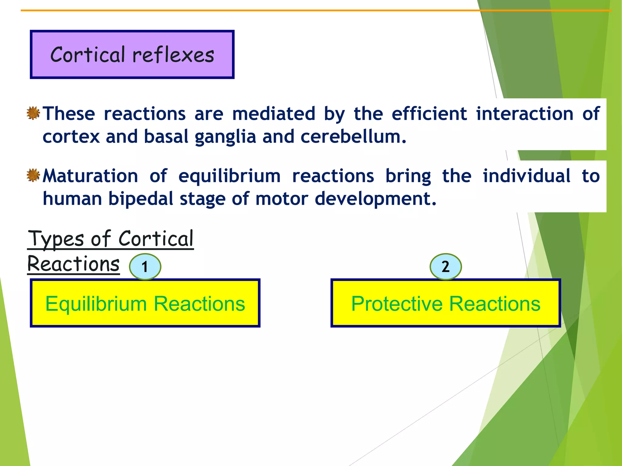 4 - reflexes maturation - new 2018.pptx