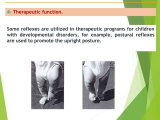 4 - reflexes maturation - new 2018.pptx