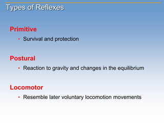 4 - reflexes maturation - new 2018.pptx