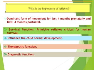 4 - reflexes maturation - new 2018.pptx