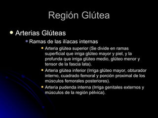 4. región glútea | PPT