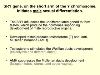 4 -reproductive_system | PPT