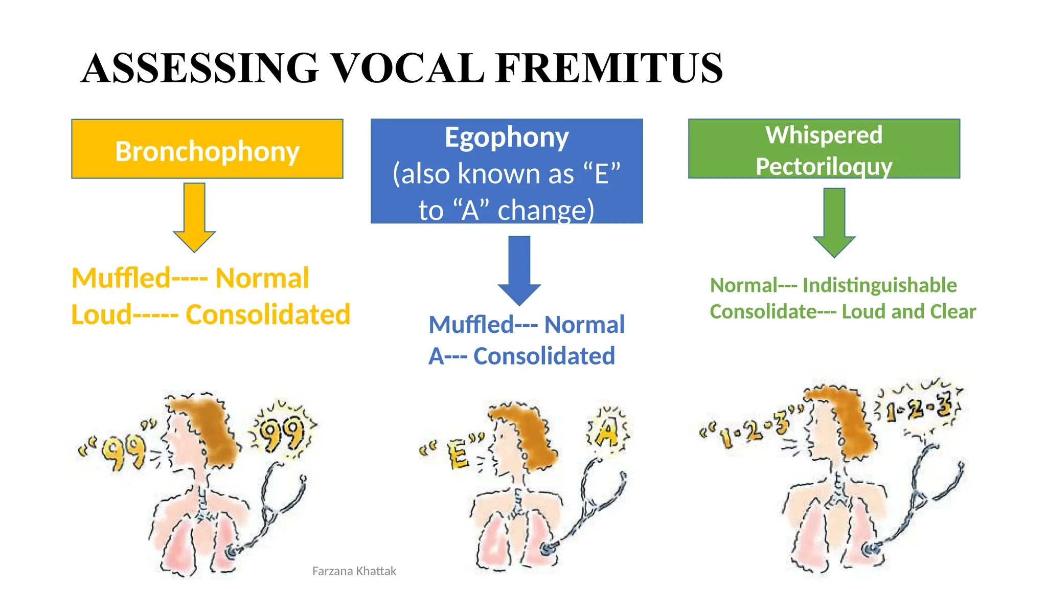 4-RESPIRATORY ASSESSMENT presentation.pptx