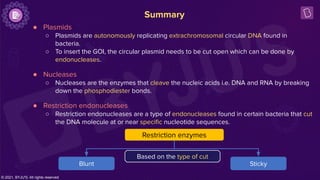 4-Restriction Enzymes.pdf