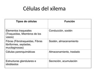 4-Resumen Histología. para ingenieros preparaos | PPT