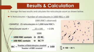 Reticulocytic count .pdf