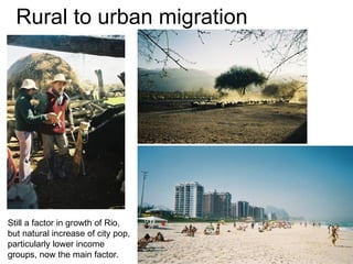 4 - Rocinha | PPT