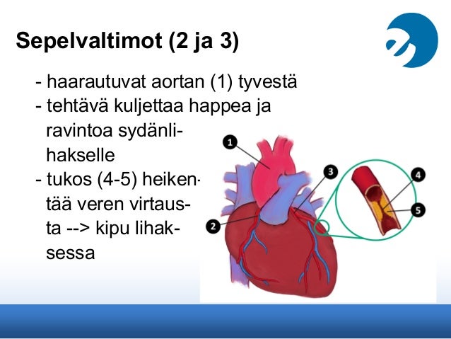 4.sairaudet ja niiden ehkäisy