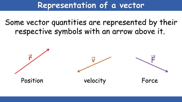 Scalars & vectors | PPTX | Physics | Science