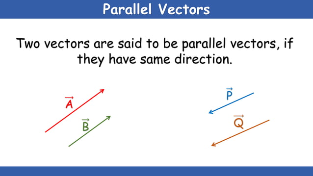 Scalars & vectors | PPTX | Physics | Science