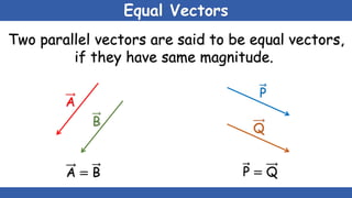 Scalars & vectors | PPTX