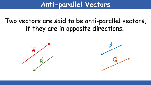Scalars & vectors | PPTX | Physics | Science