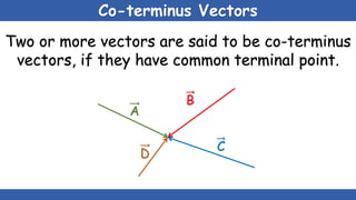 Scalars & vectors | PPTX