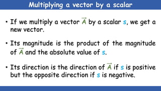 Scalars & vectors | PPTX