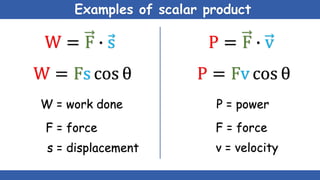 Scalars & vectors | PPTX