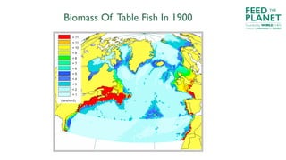 4 - Seafood.pdf