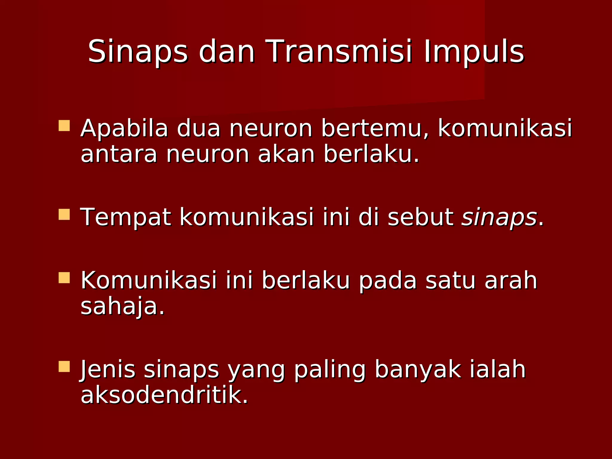 4 sistem-saraf-tingkatan-4 | PDF