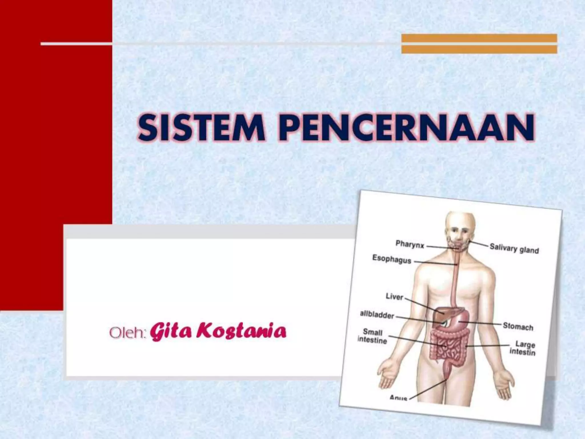 Sistem Digestive (Sistem Pencernaan Manusia) | PPTX