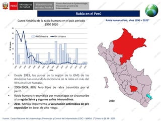 4-Situacion-de-la-Rabia-Peru-SE-38-CDC-Dr.-Ivan-Vargas.pdf