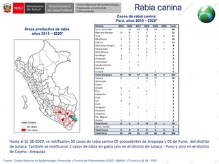4-Situacion-de-la-Rabia-Peru-SE-38-CDC-Dr.-Ivan-Vargas.pdf