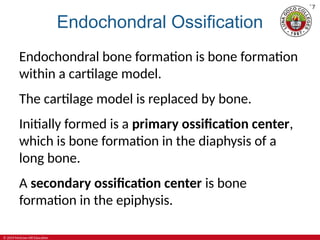 4-Skeletal-System-Bones-and-Joints-Powet | PPT