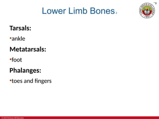 4-Skeletal-System-Bones-and-Joints-Powet | PPT