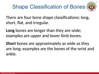 4-Skeletal-System-Bones-and-Joints-Powet | PPT
