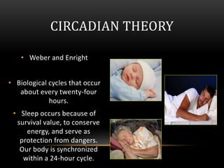 Sleep, REM and Dream | PPTX